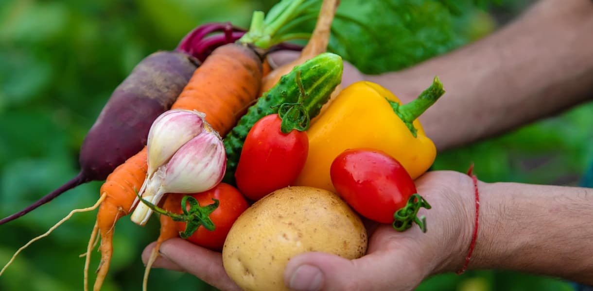 Spices – Ruchi Food